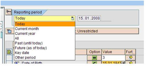 SAP Query Tools - Lorenzo Data Solutions