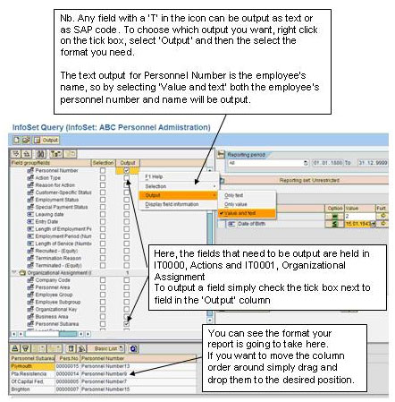 SAP Query Tools - Lorenzo Data Solutions