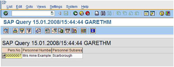 SAP Query Tools - Lorenzo Data Solutions