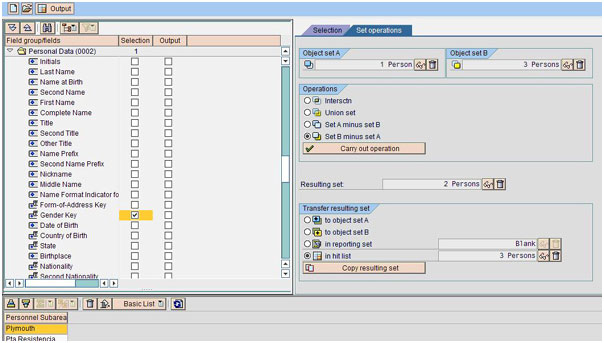 SAP Query Tools - Lorenzo Data Solutions