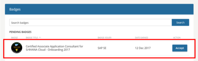 SAP Global Certification Badges - Lorenzo Data Solutions