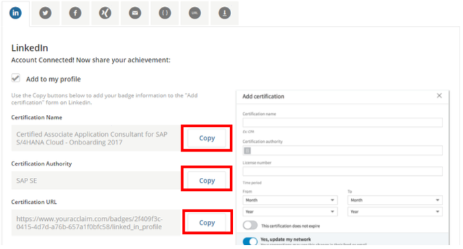 SAP Global Certification Badges - Lorenzo Data Solutions